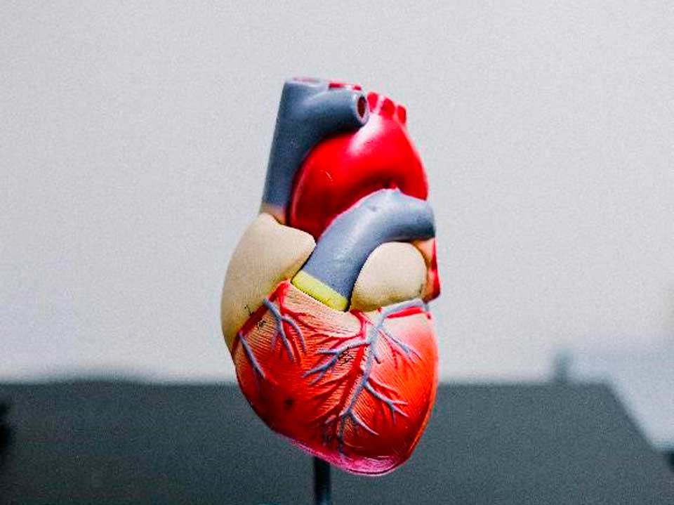 Mes del Corazón: Enfermedad del Nodo Sinusal: cuando falla el ...