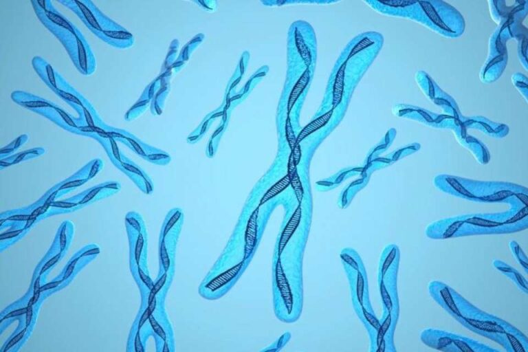 Cómo identificar y tratar el Síndrome X Frágil - Portal Red Salud